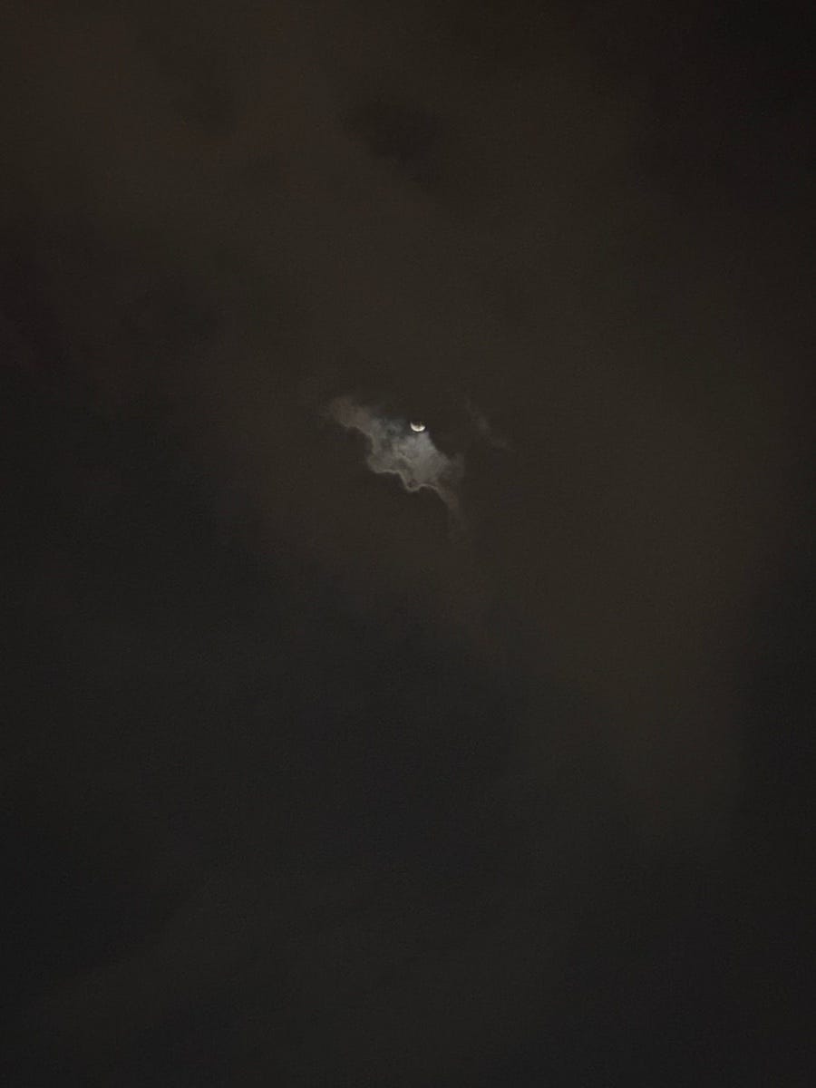 Tabitha Zefanya – Medium