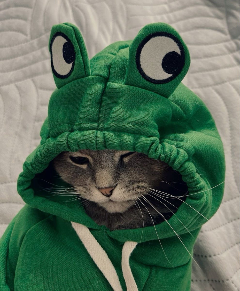 Frank Mercer – Medium