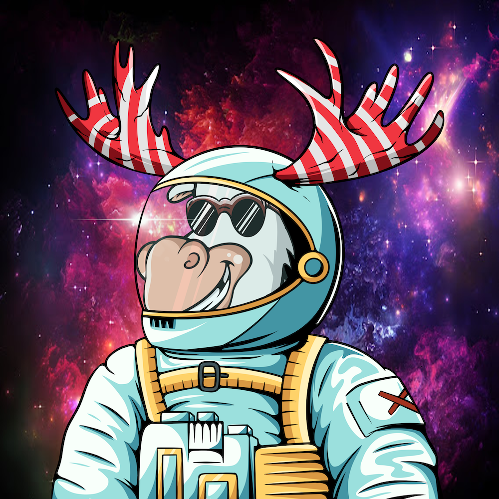 Cos Moose – Medium