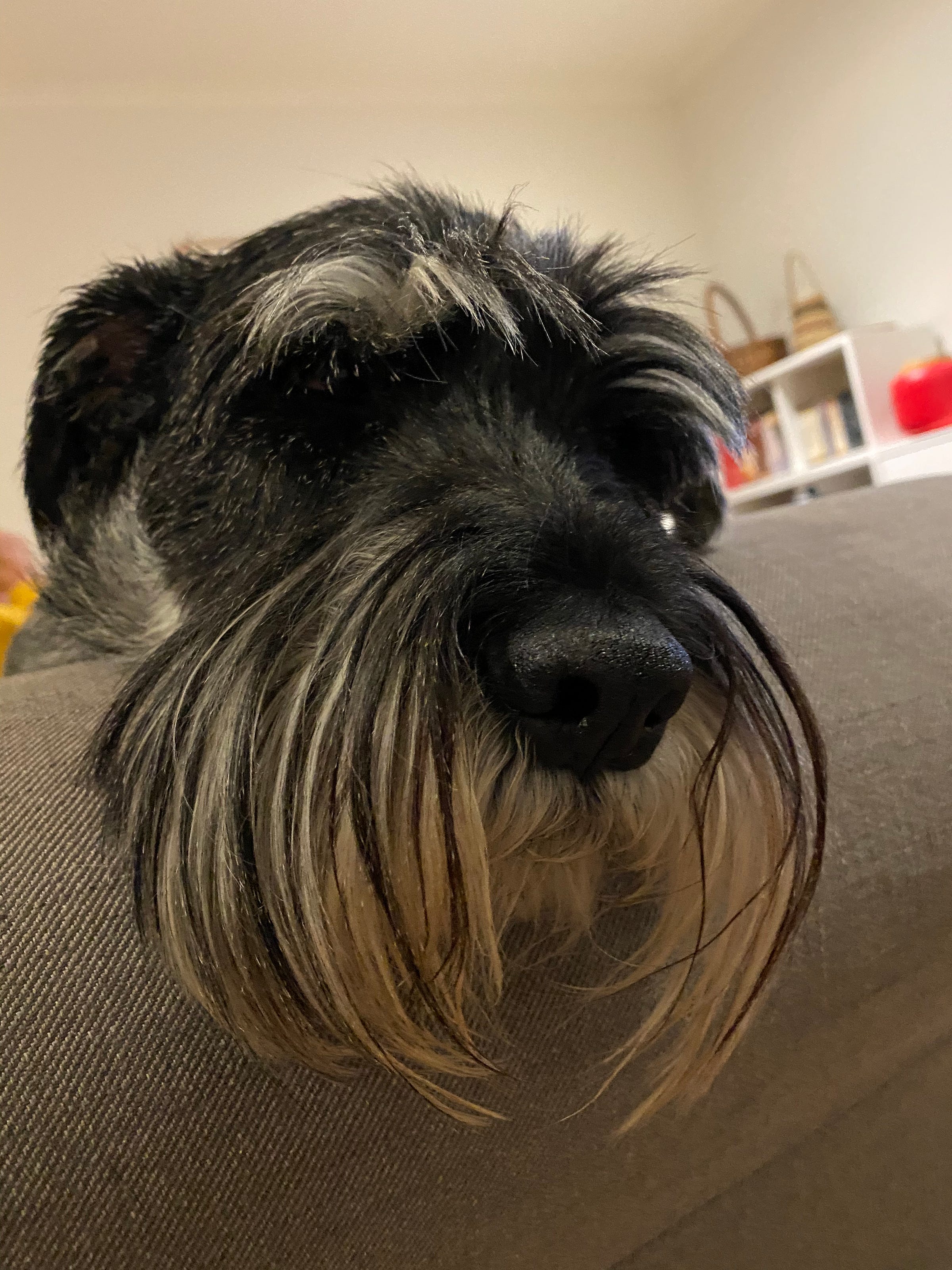 Stephanie Spiller – Medium