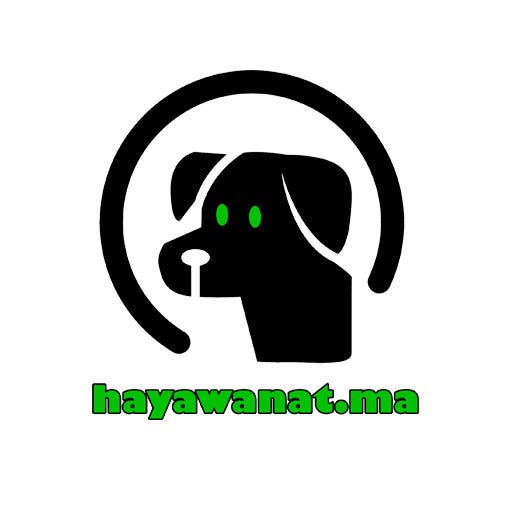 About – hayawanat.ma – Medium