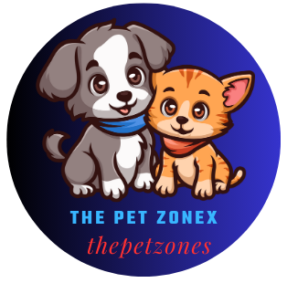 Md Fahim tajwar – Medium