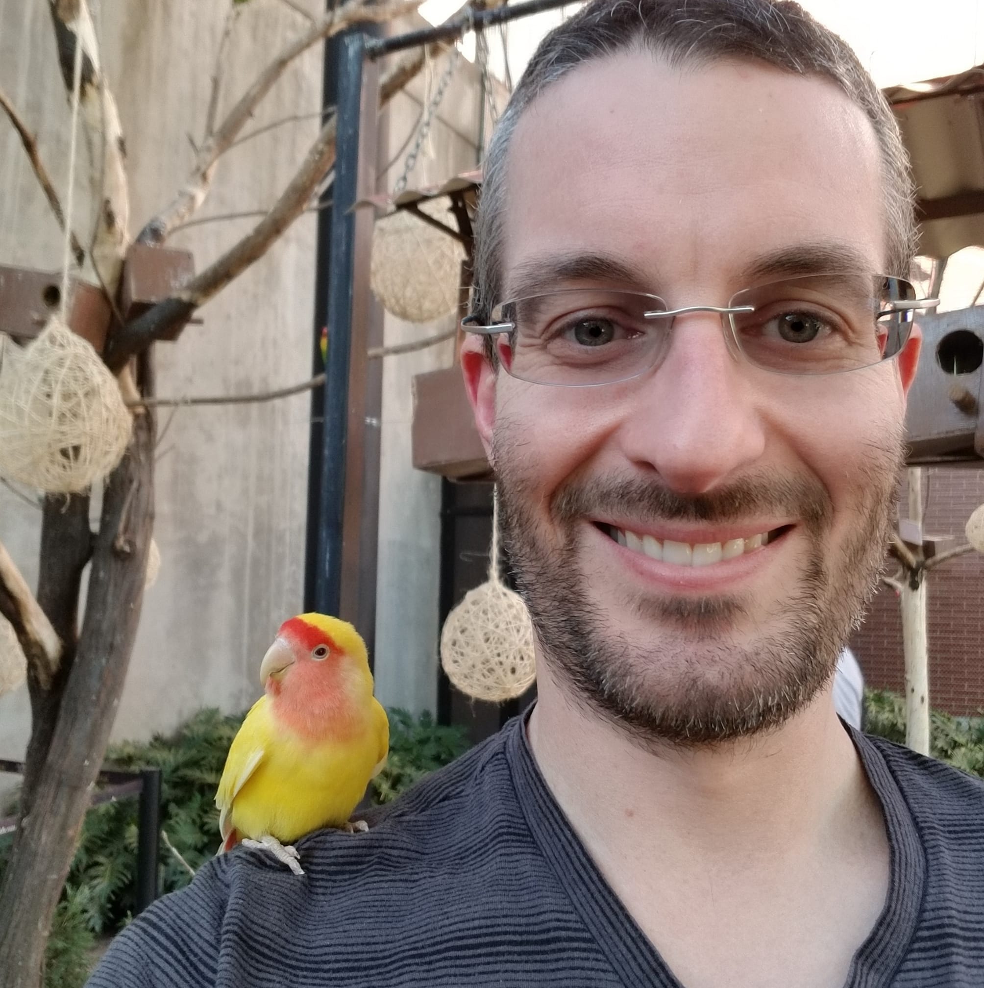 Allan Graves – Medium