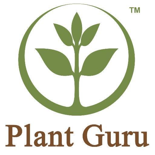 Plant Guru – Medium