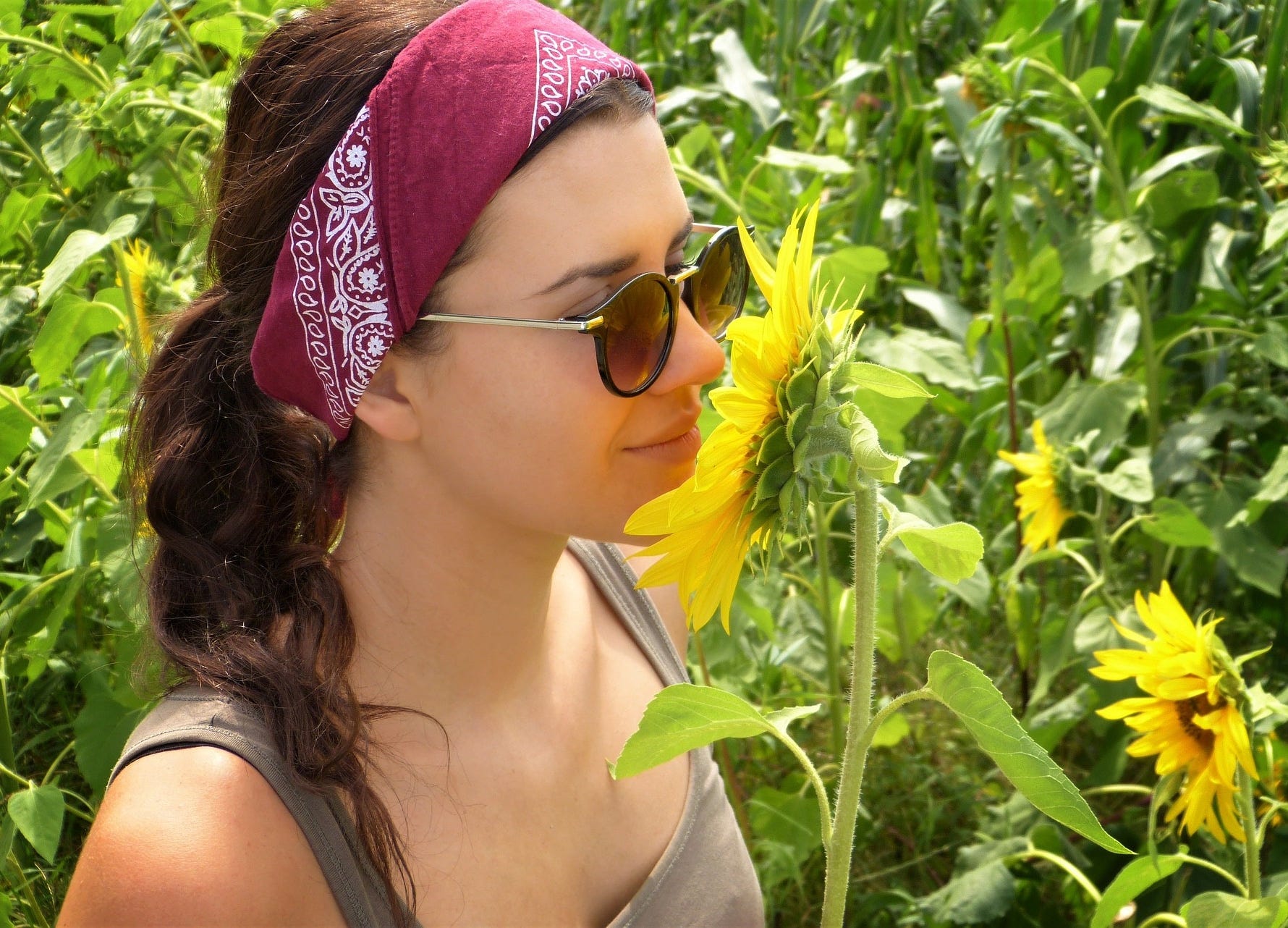 UK Survival Guides – Medium