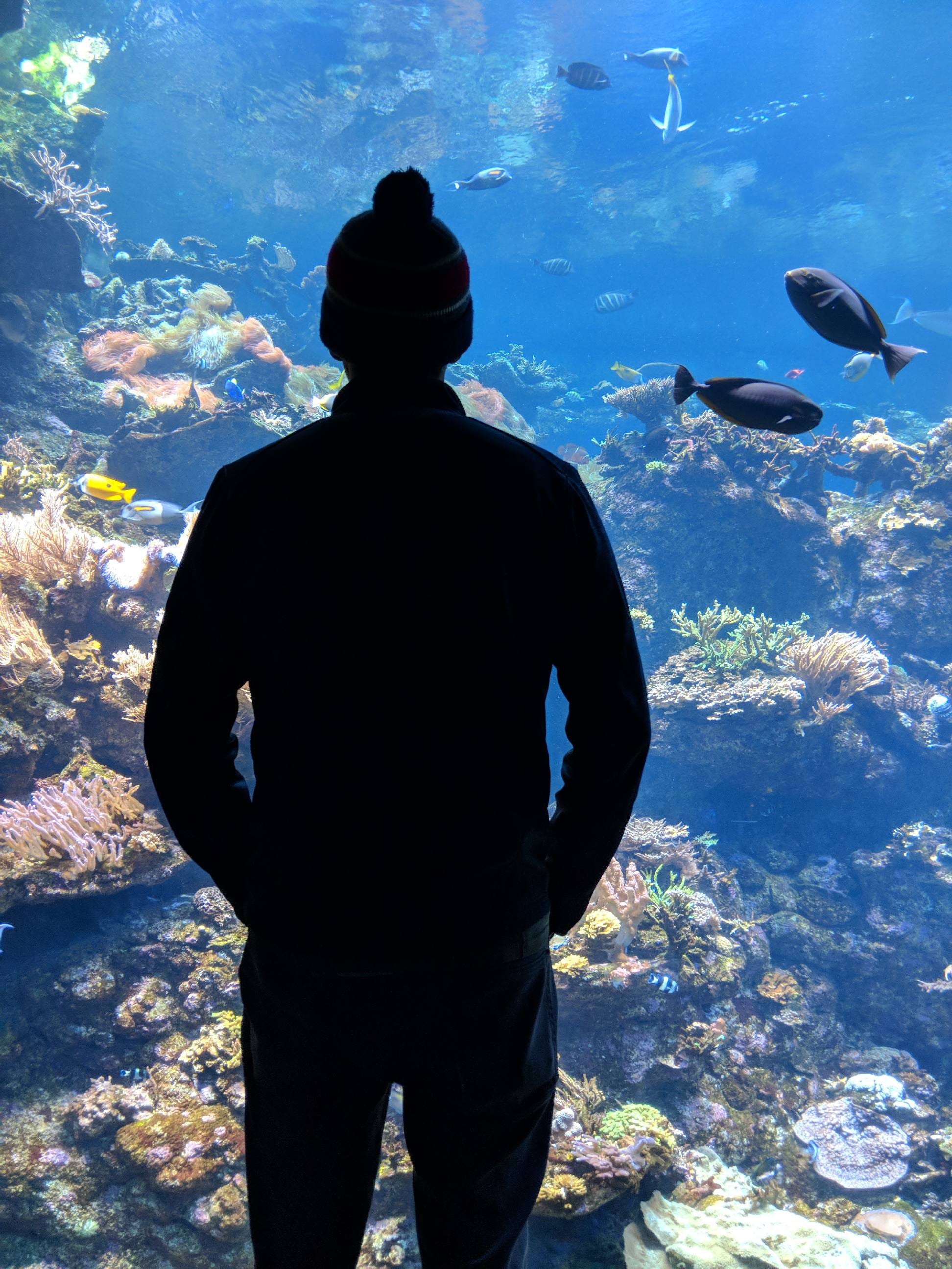 Pete Scanlon – Medium