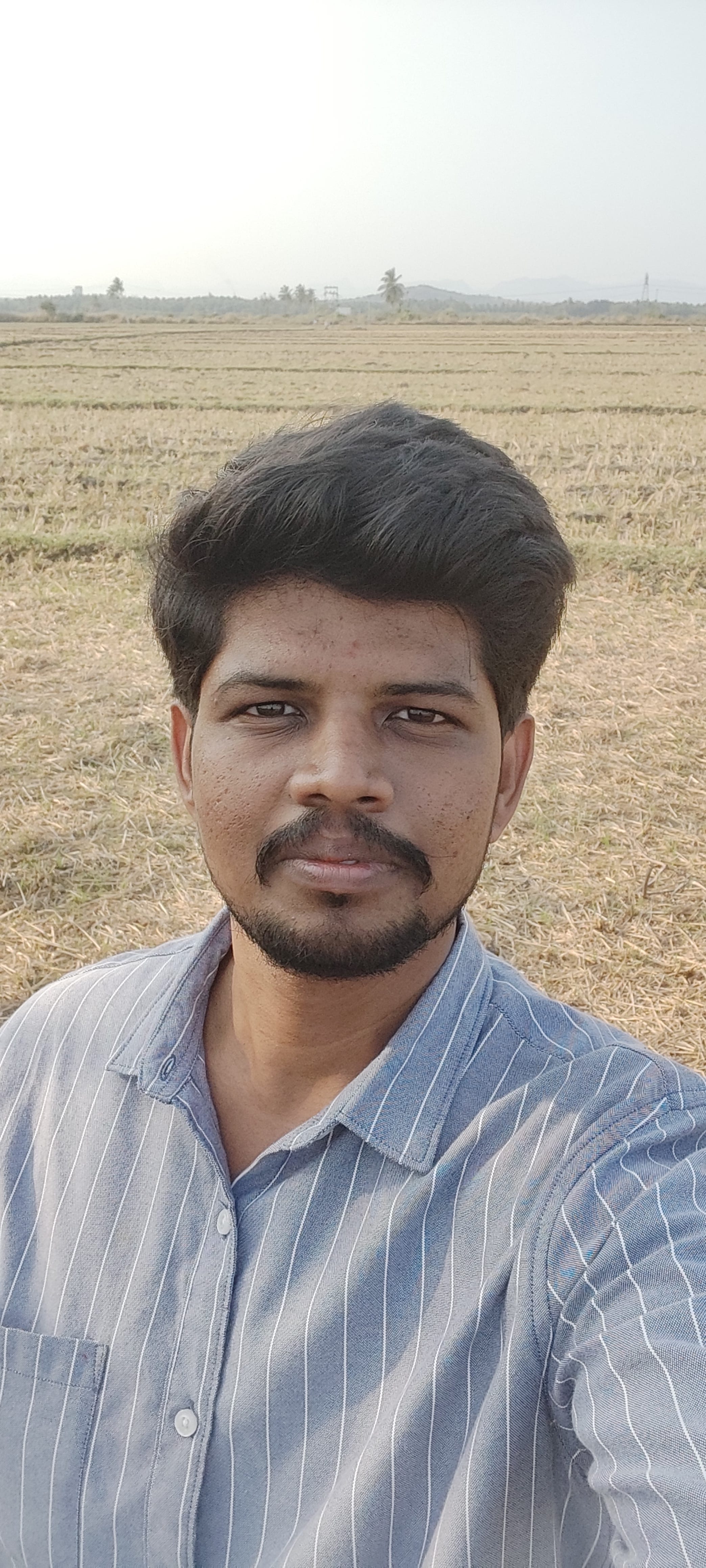 Vignesh on Medium curated some lists