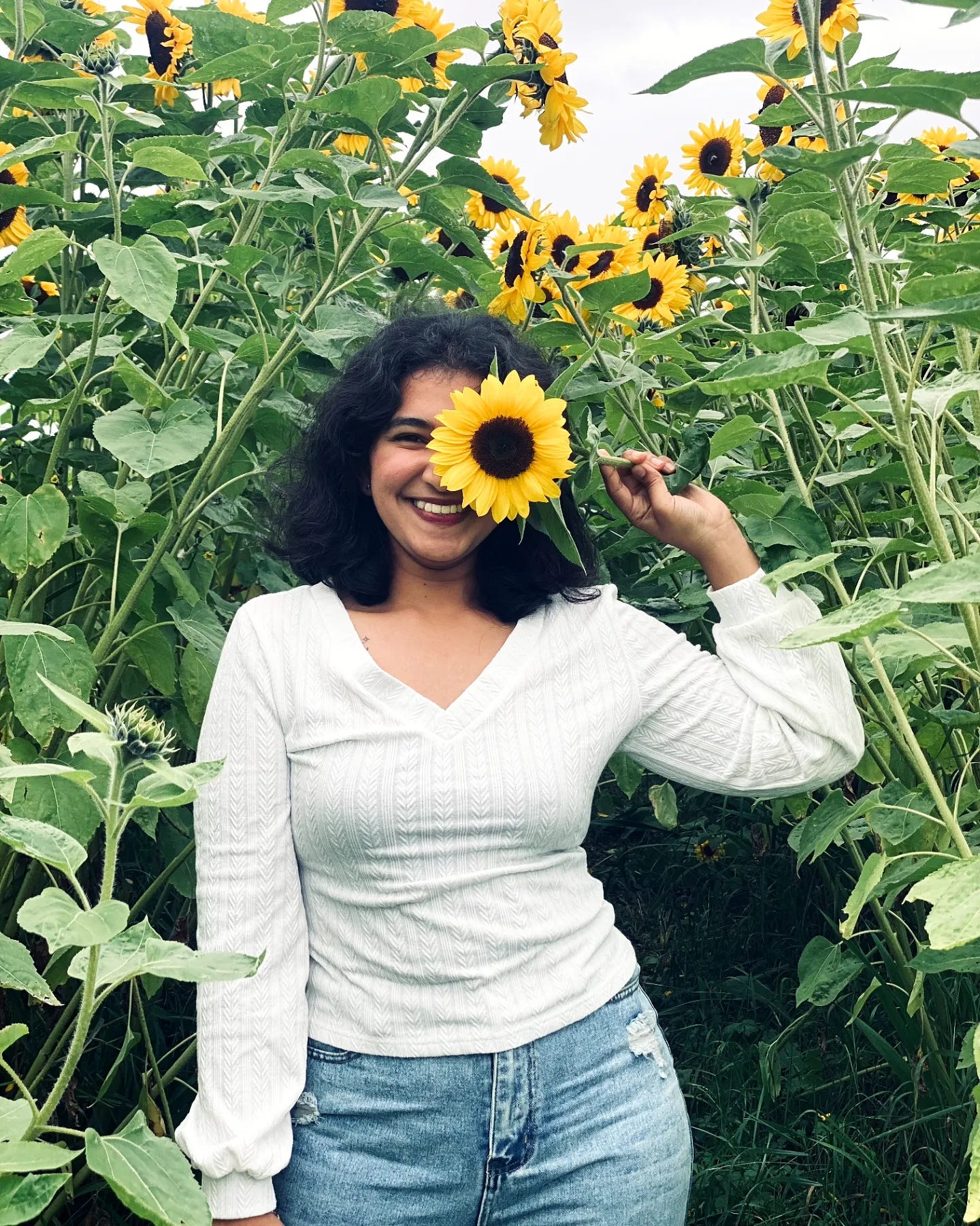 Nikhila Ramisetti on Medium curated some lists