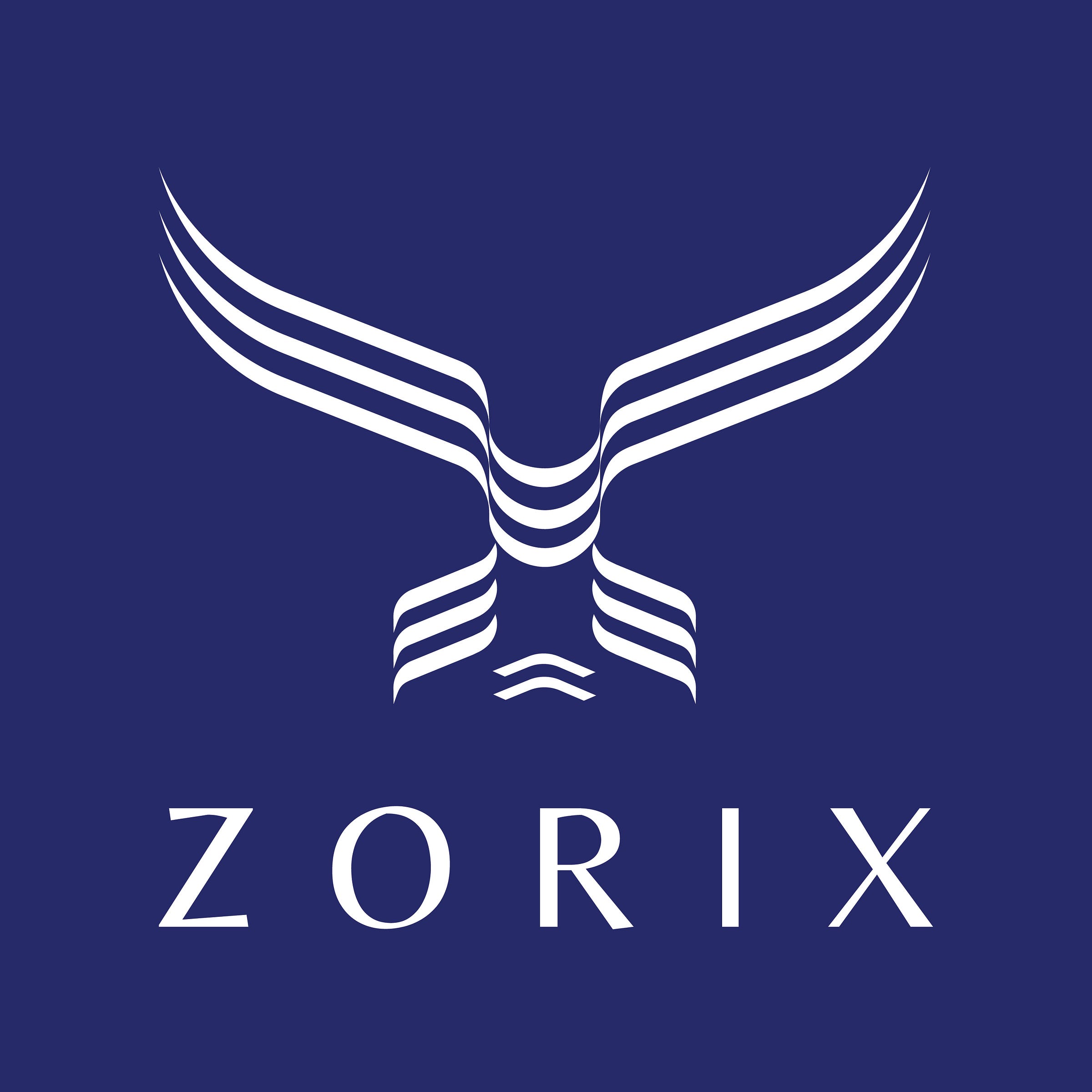 ZORIXchange – Medium