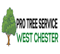 Pro Tree Service West Chester – Medium
