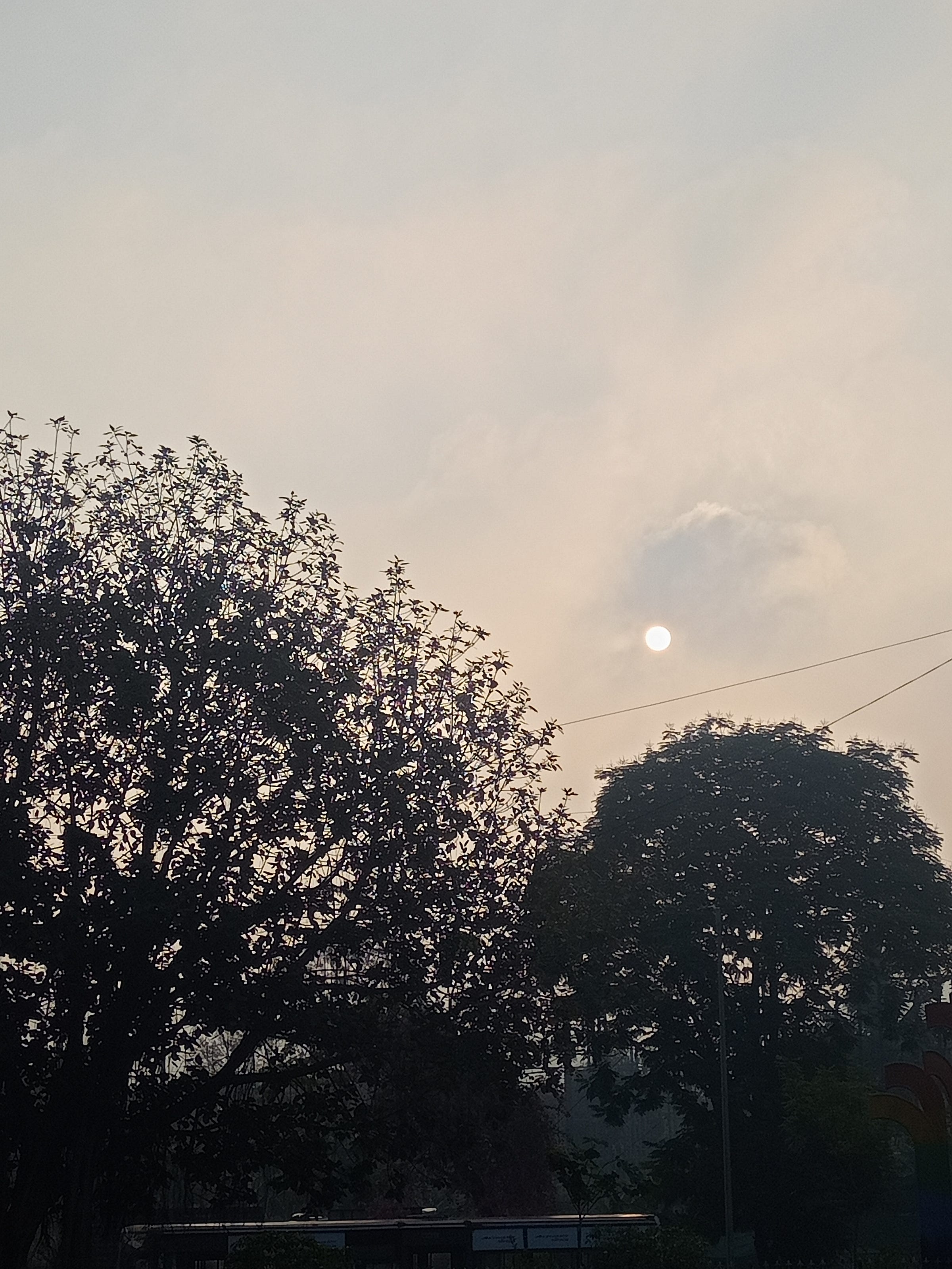 Day Dreamer – Medium