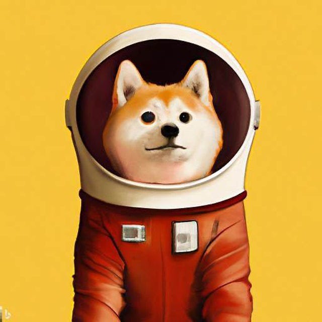 Dr.Beast – Medium