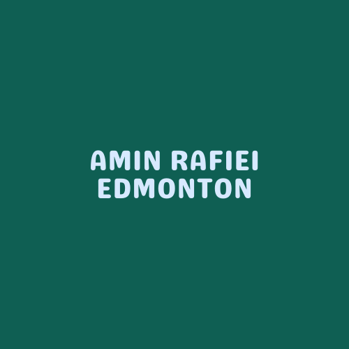 Amin Rafiei Edmonton – Medium
