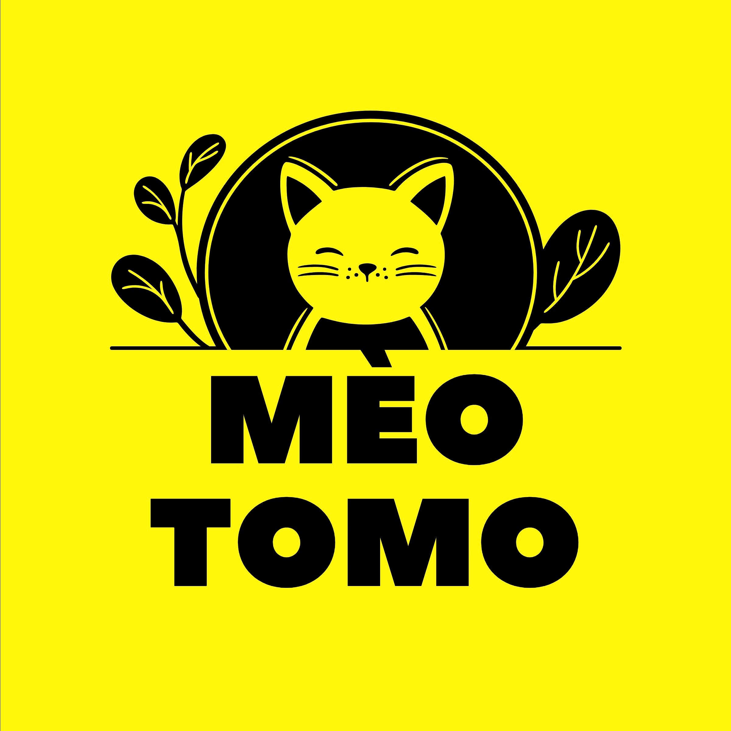 About – Mèo Tò Mò – Medium