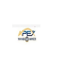 Apex Training – Medium