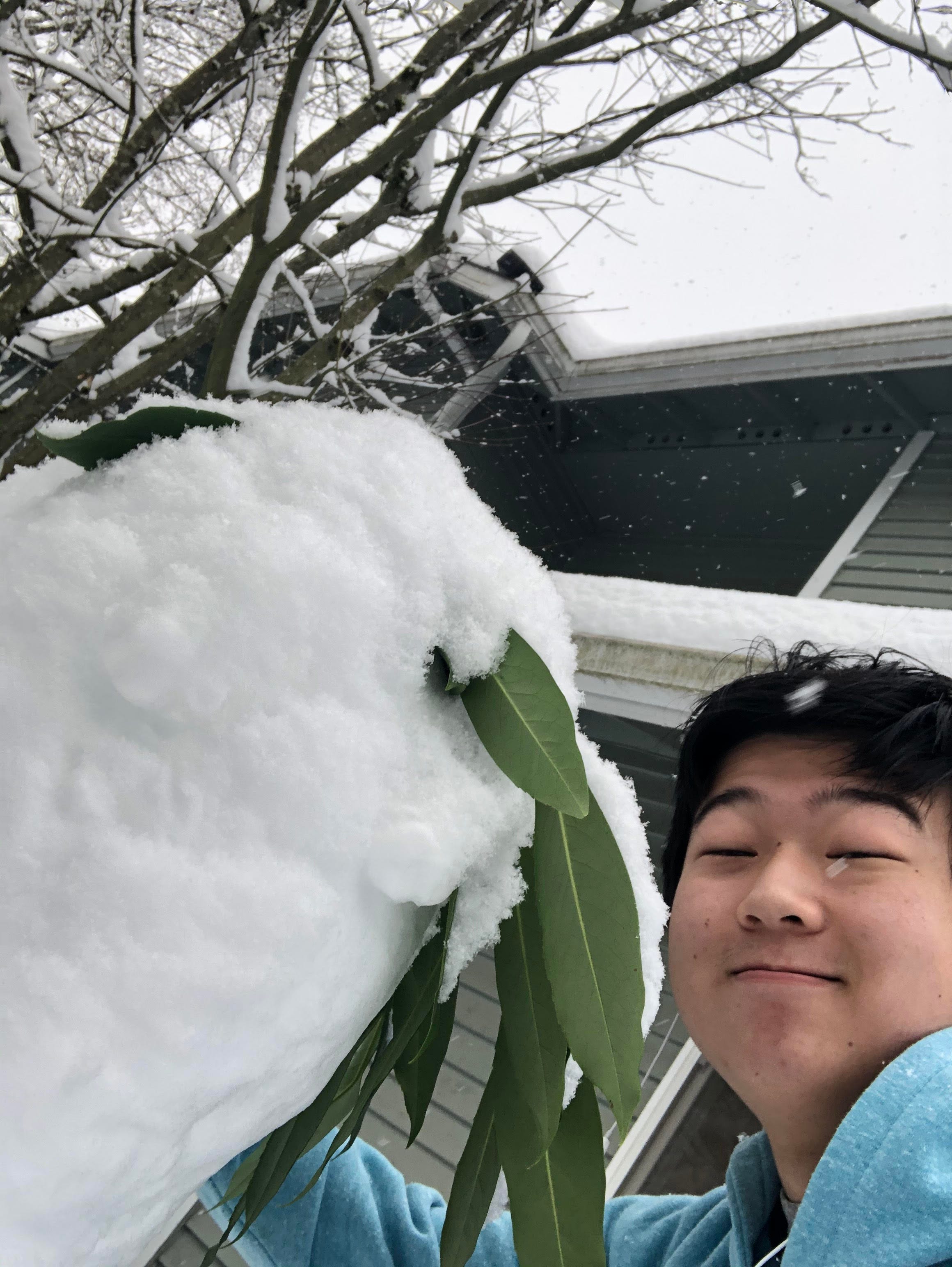 Vinnie Park – Medium