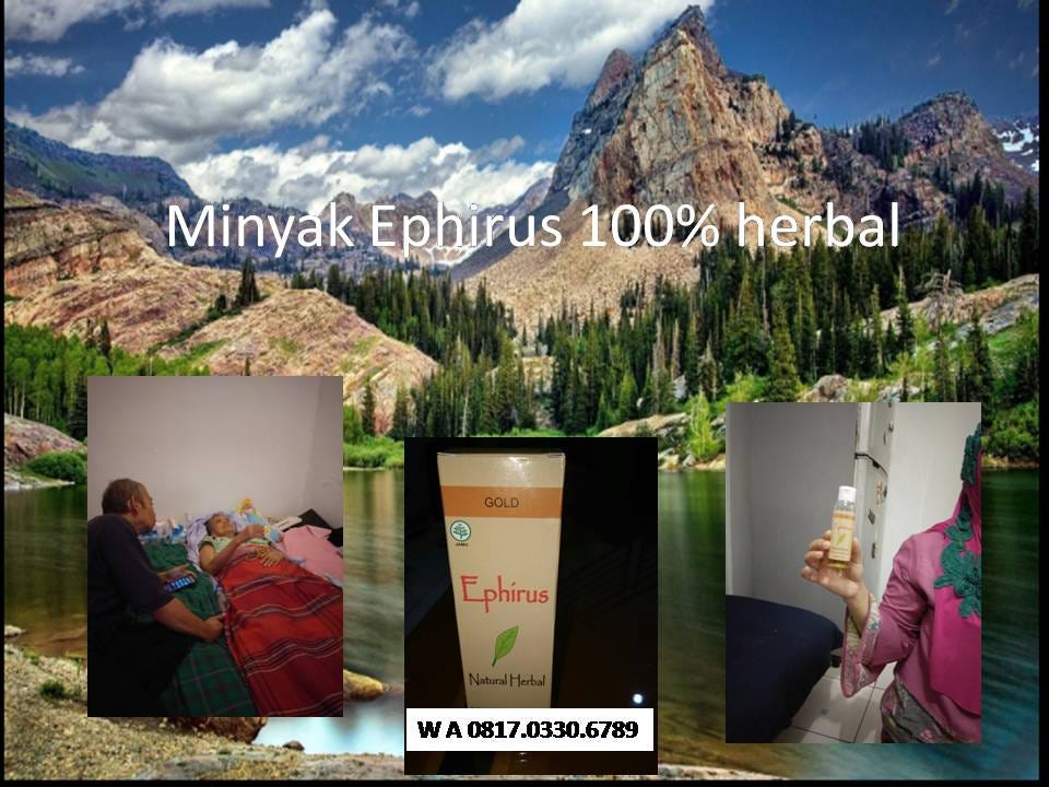 WA 0817.0330.6789, Minyak Ephirus – Medium