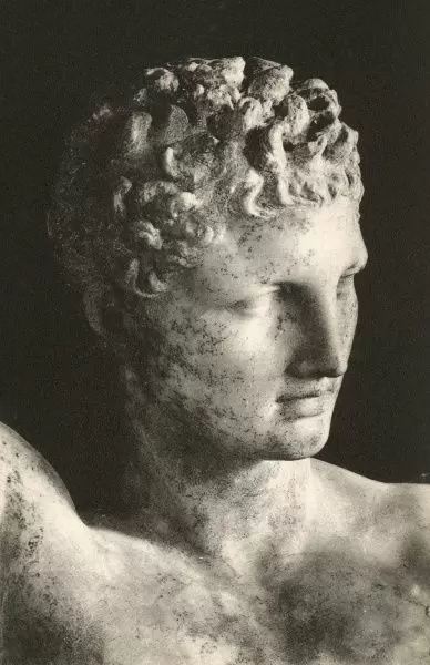 Beautiful Zeus – Medium