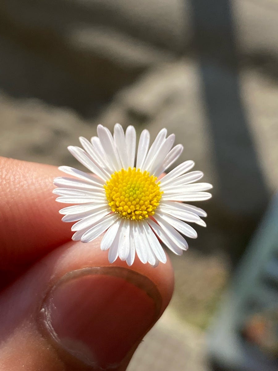 Culture Shock – Medium