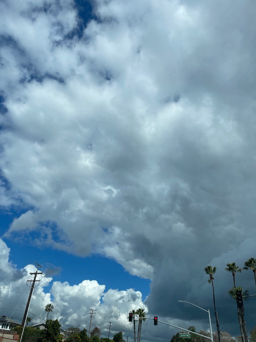 KD Cromley – Medium