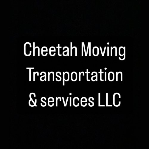cheetah moving transportation – Medium