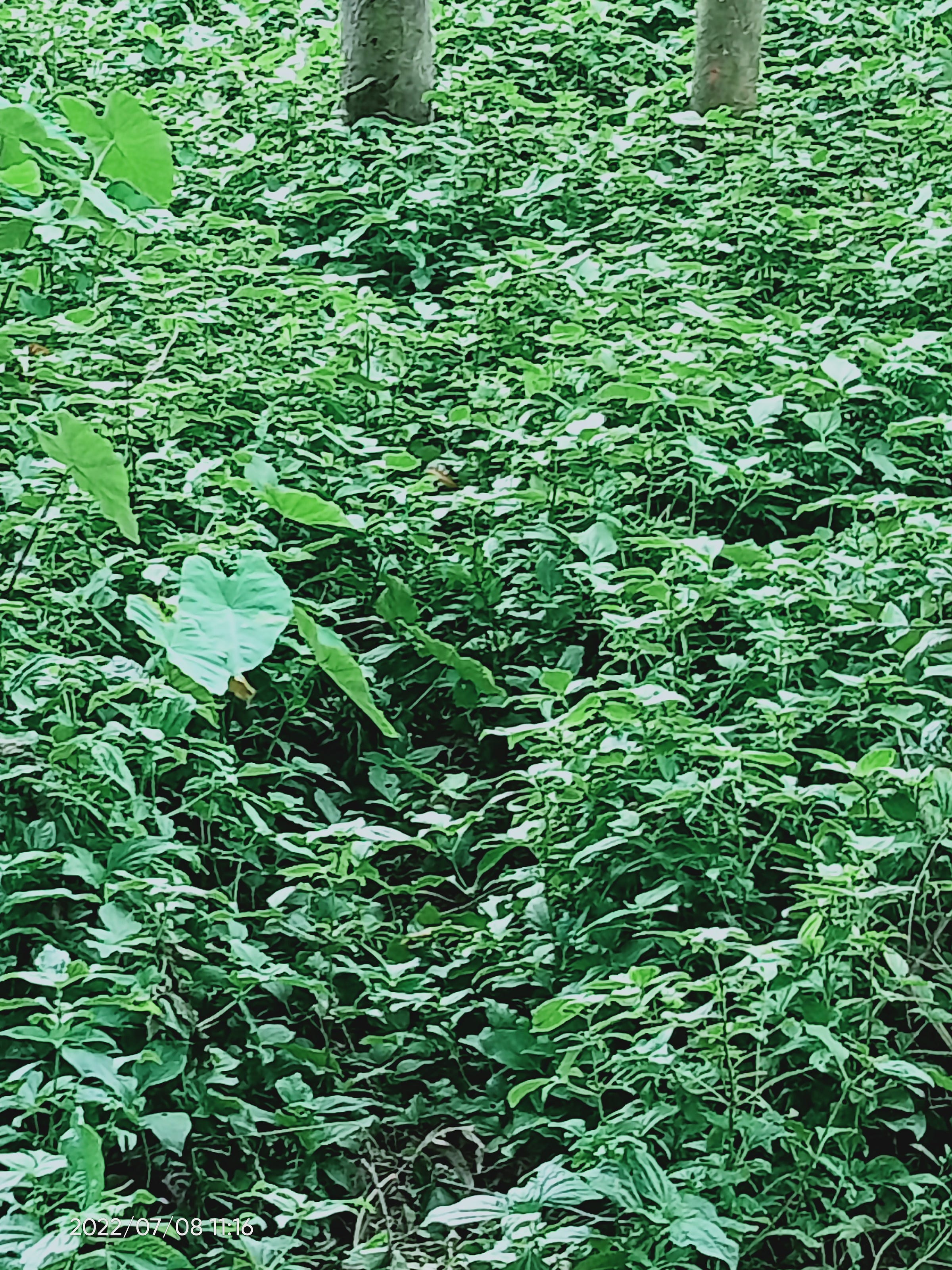 MD Karim Khan – Medium