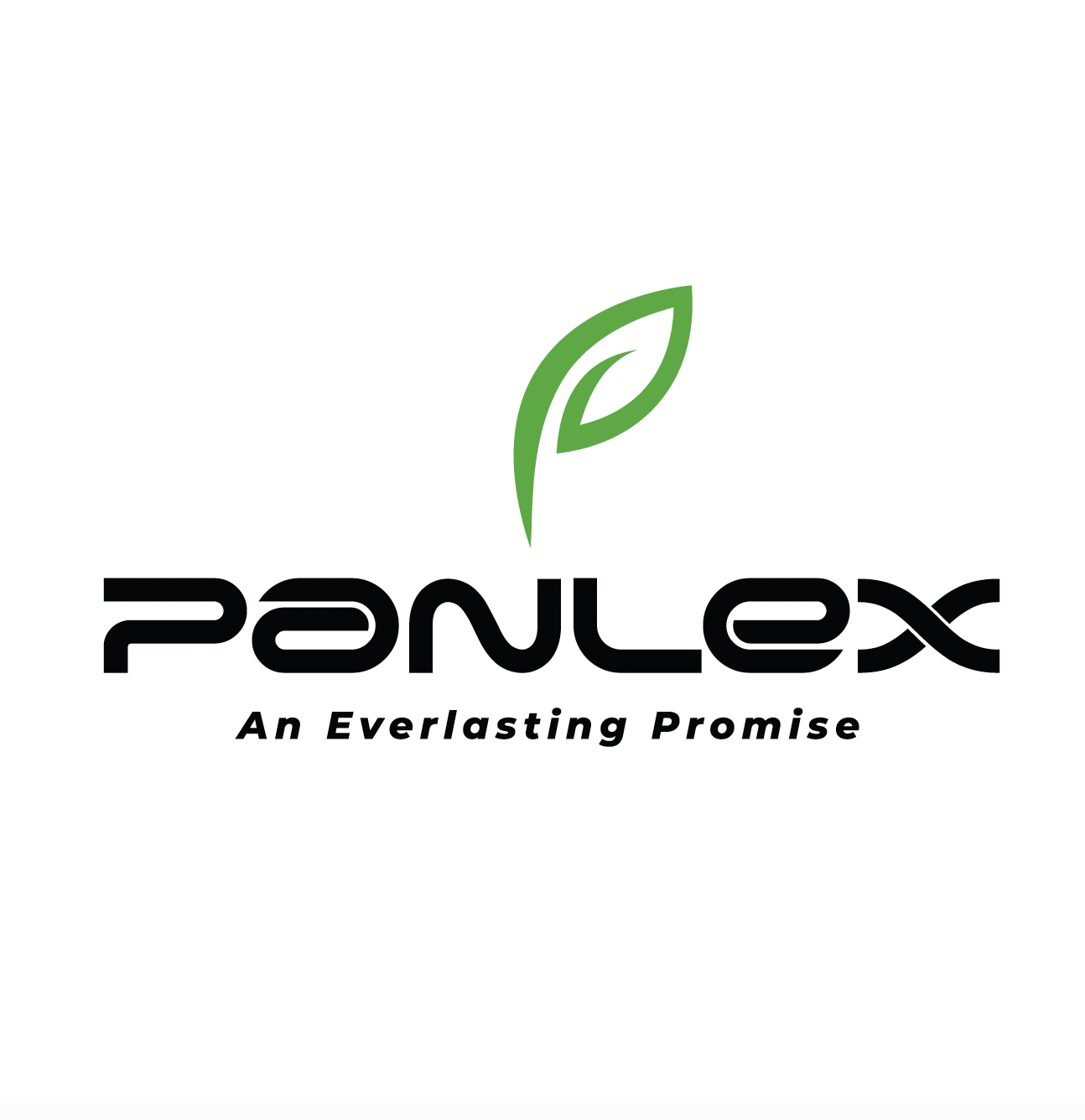 PANLEX Medium