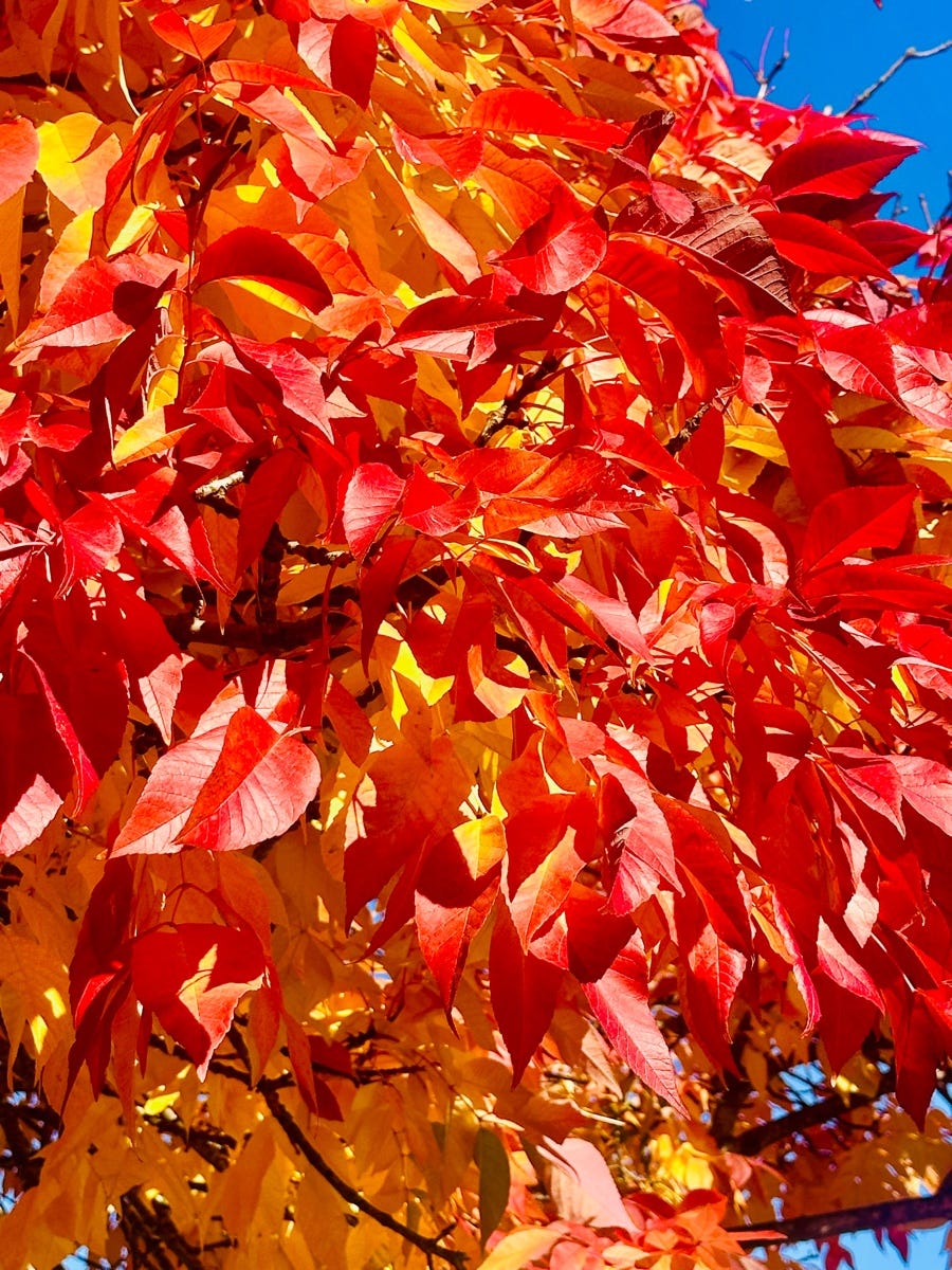 About Brilliant Minds Medium