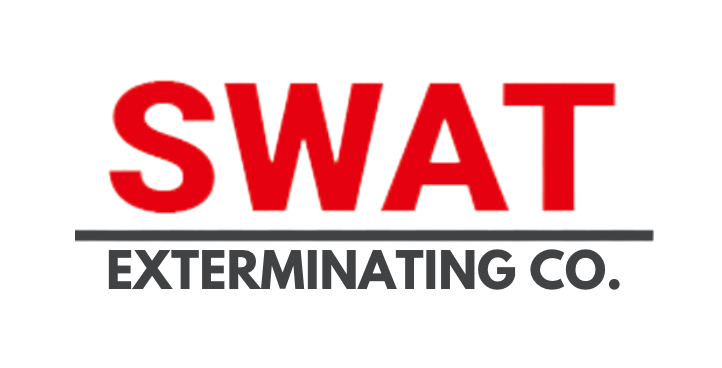 Swat Exterminating – Medium