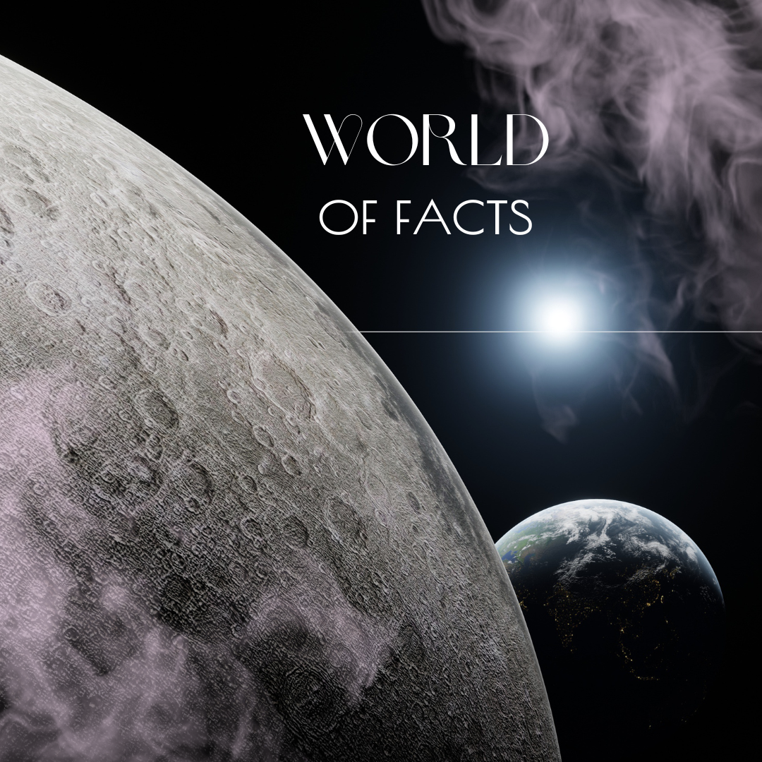 About – World of Facts – Medium
