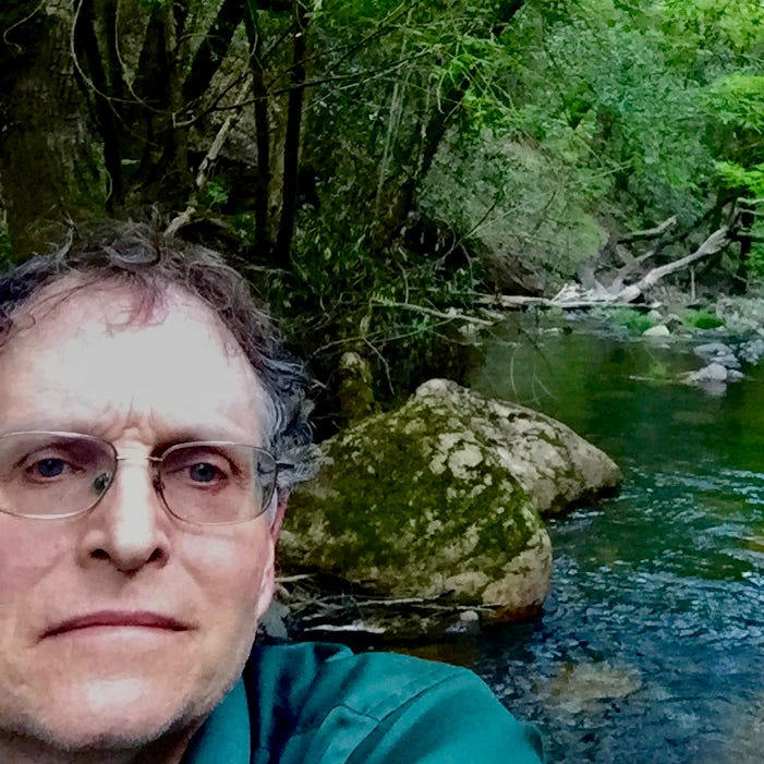 DAVID BRODY – Medium