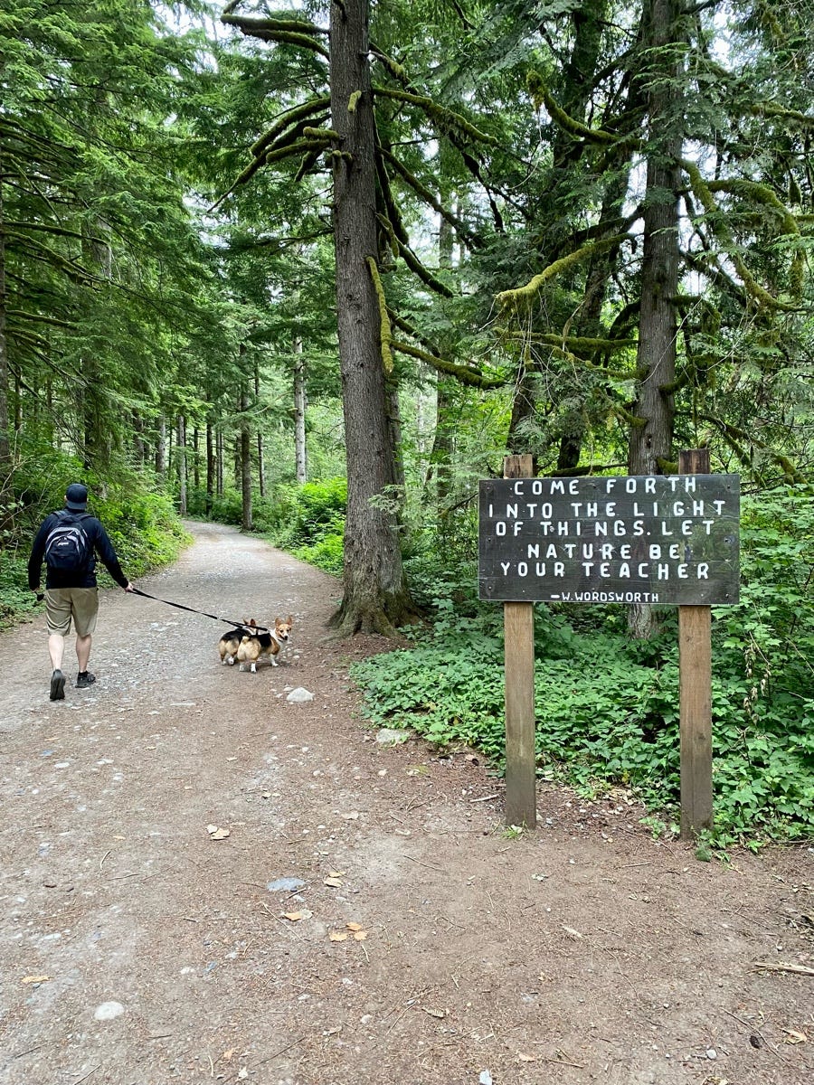 Cameron C on Medium curated some lists