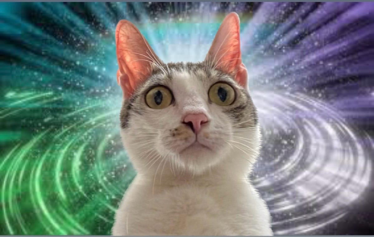 SOFT DEV on Medium curated some lists