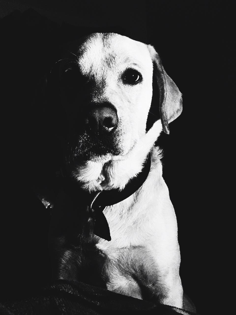 Nalin Sharma – Medium
