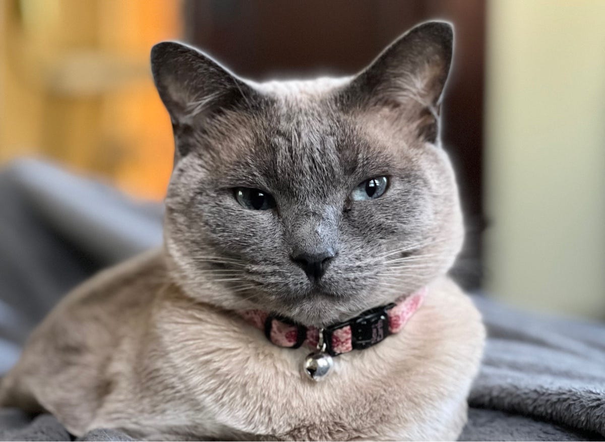 Mary Strand – Medium