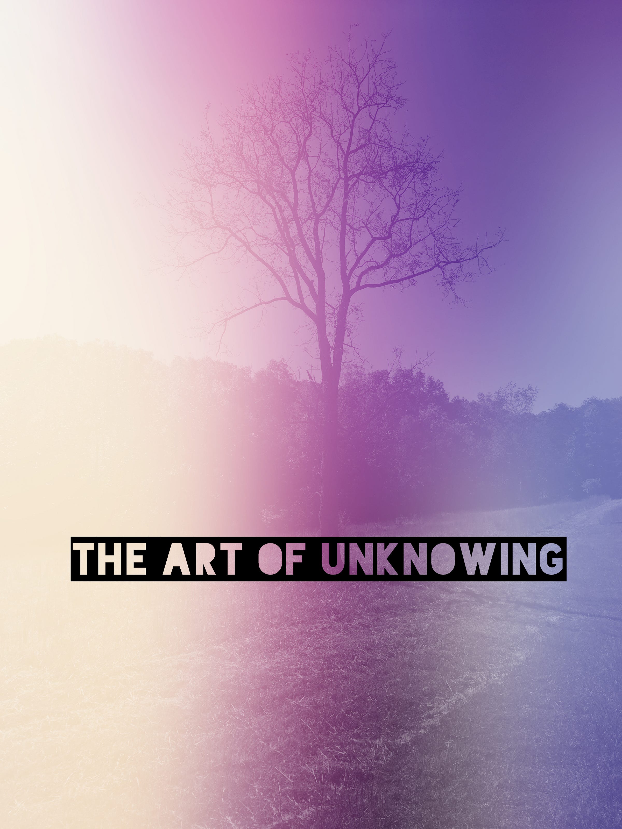The Art of Unknowing