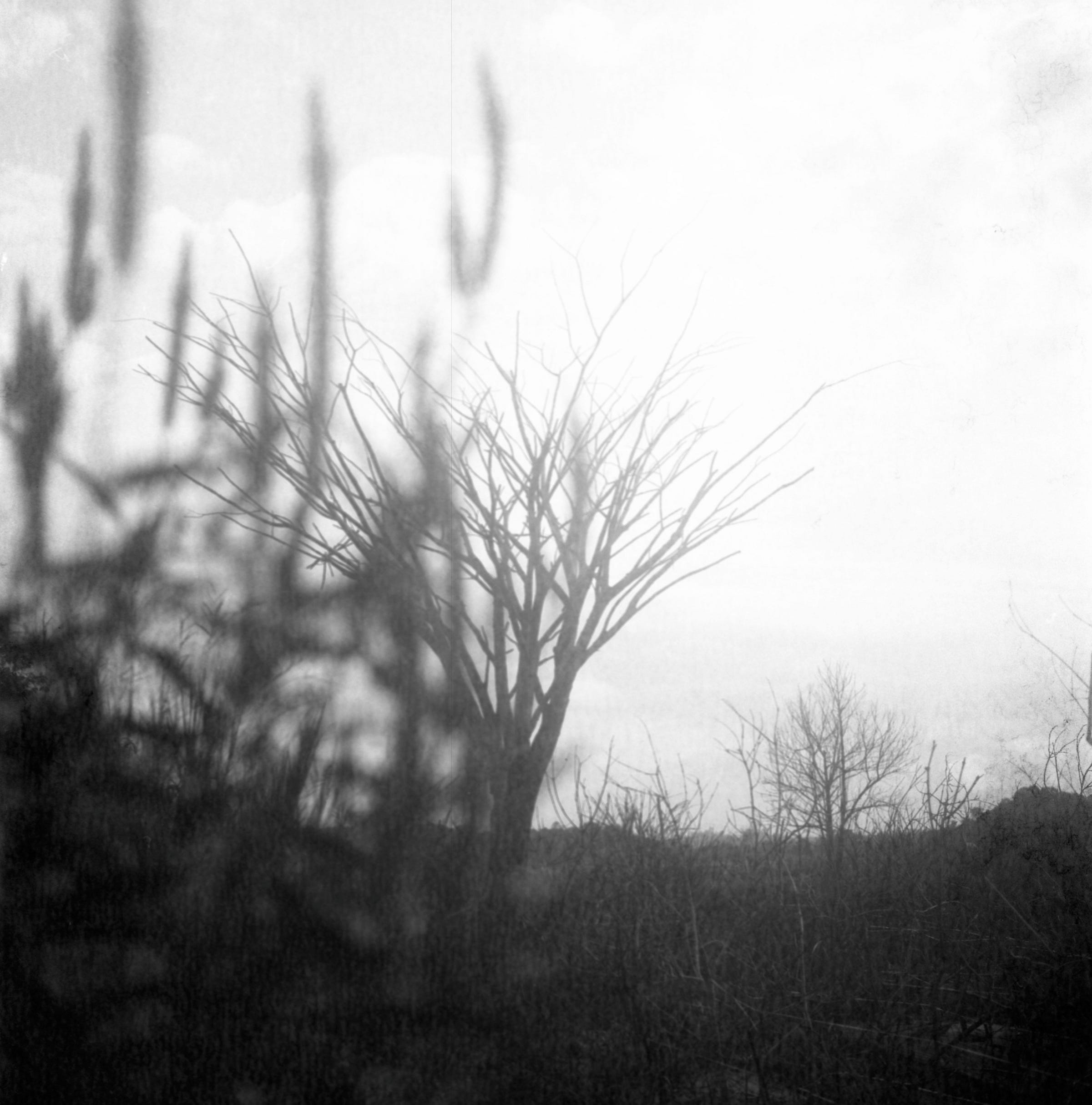 own thoughts on Medium curated some lists