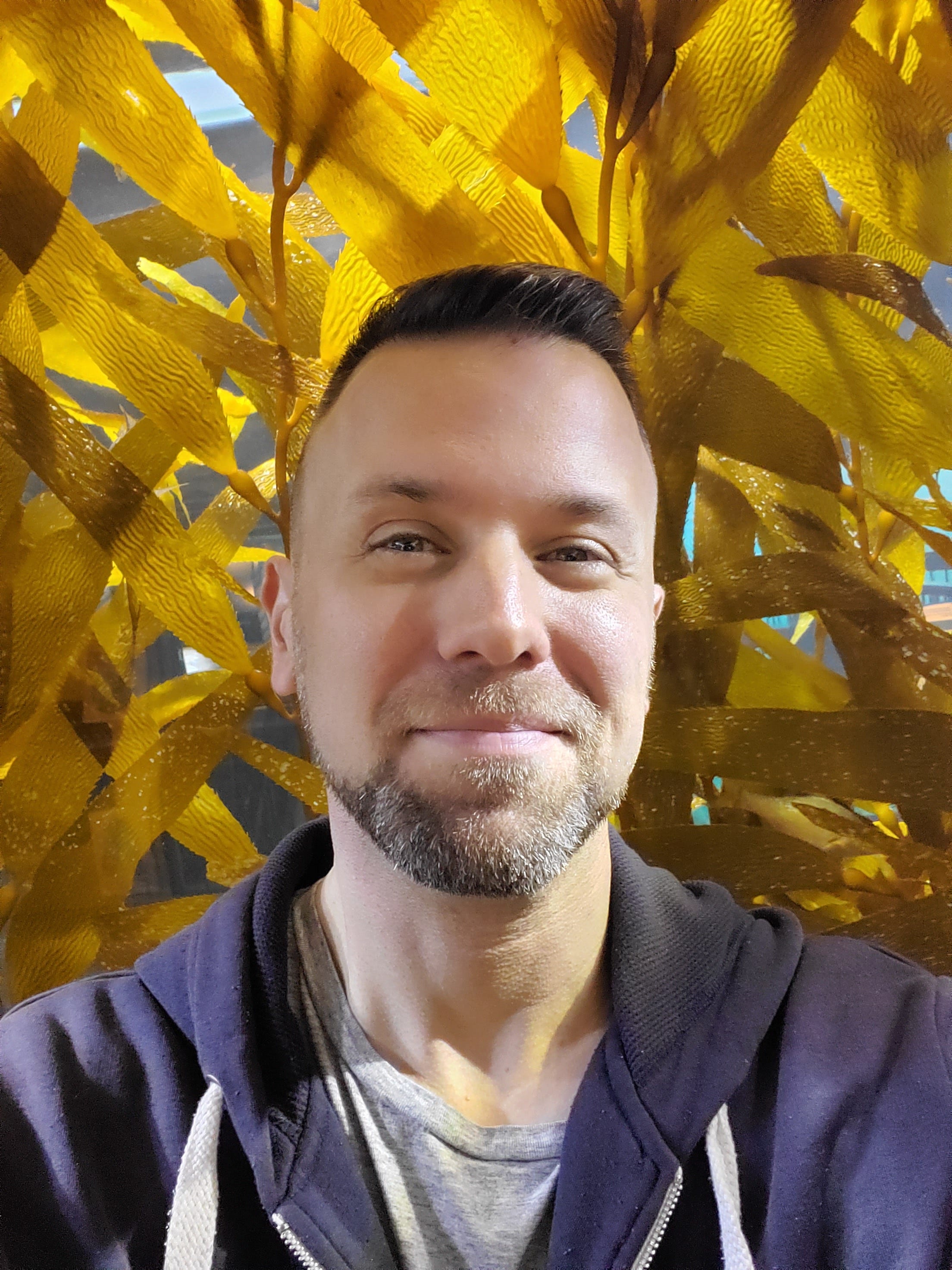 Brian Odell – Medium