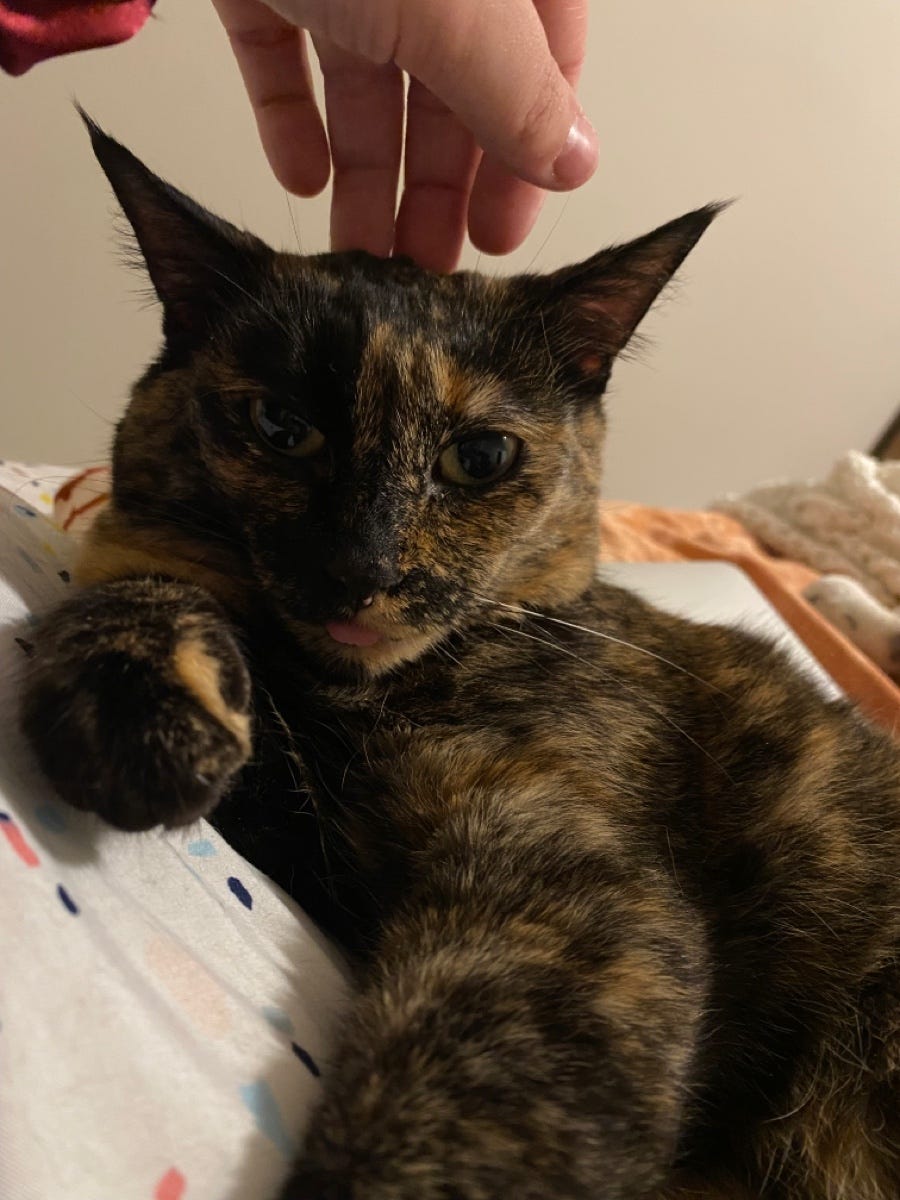 alli marado – Medium