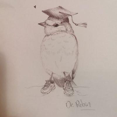 About – Robin Schäfer – Medium