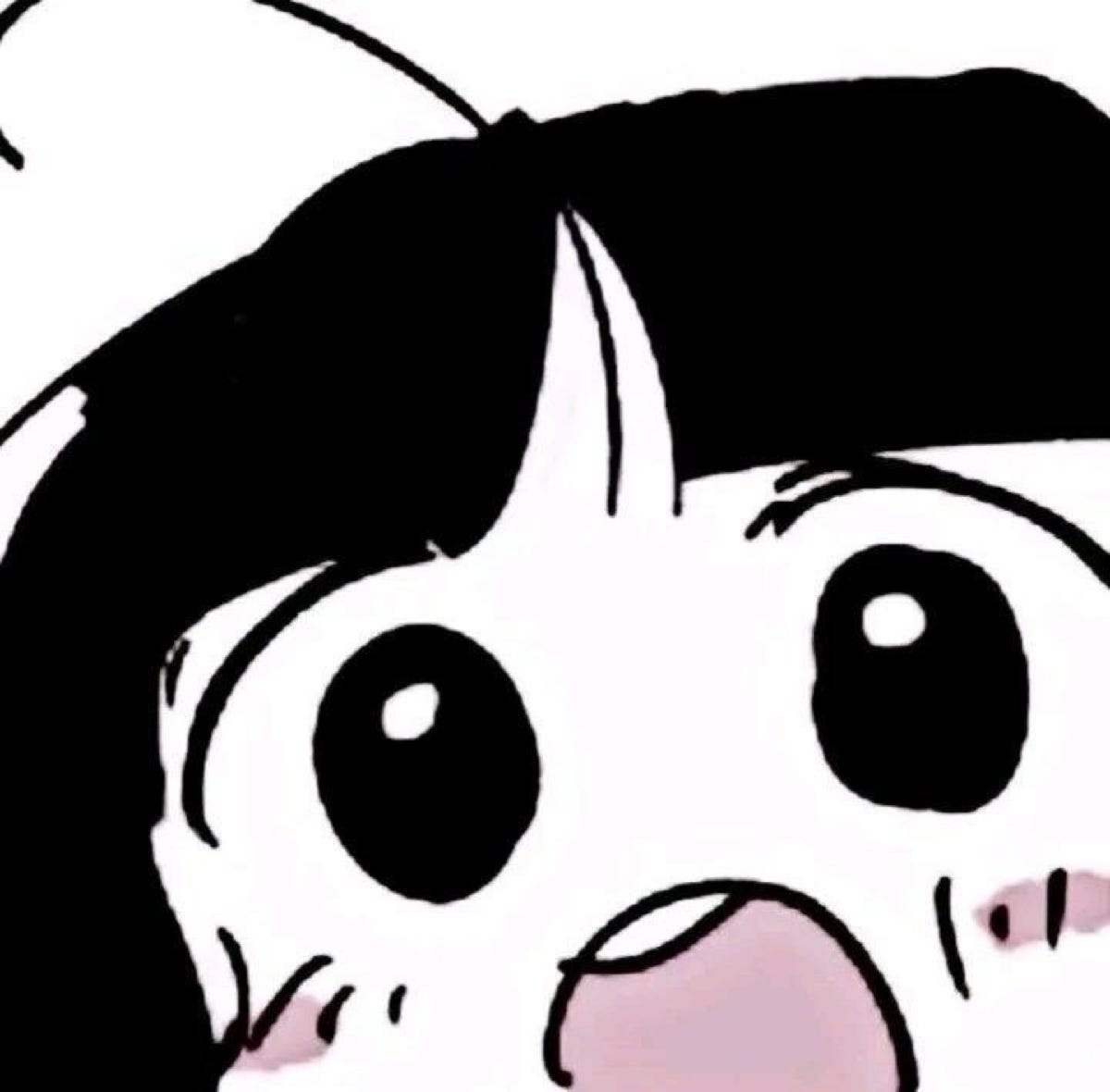 blossom:/ – Medium