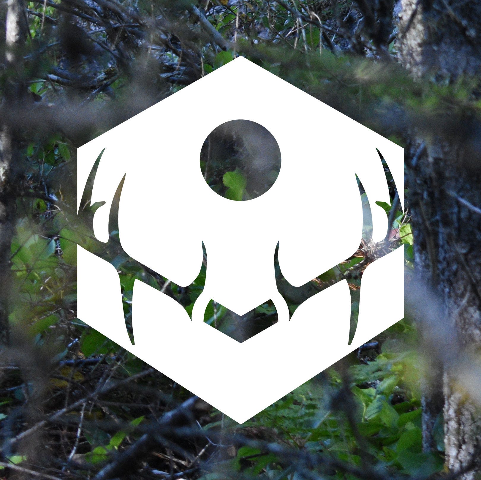 About – Drop Tine Detection – Medium
