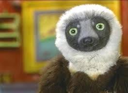 RIP Zaboomafoo – Medium