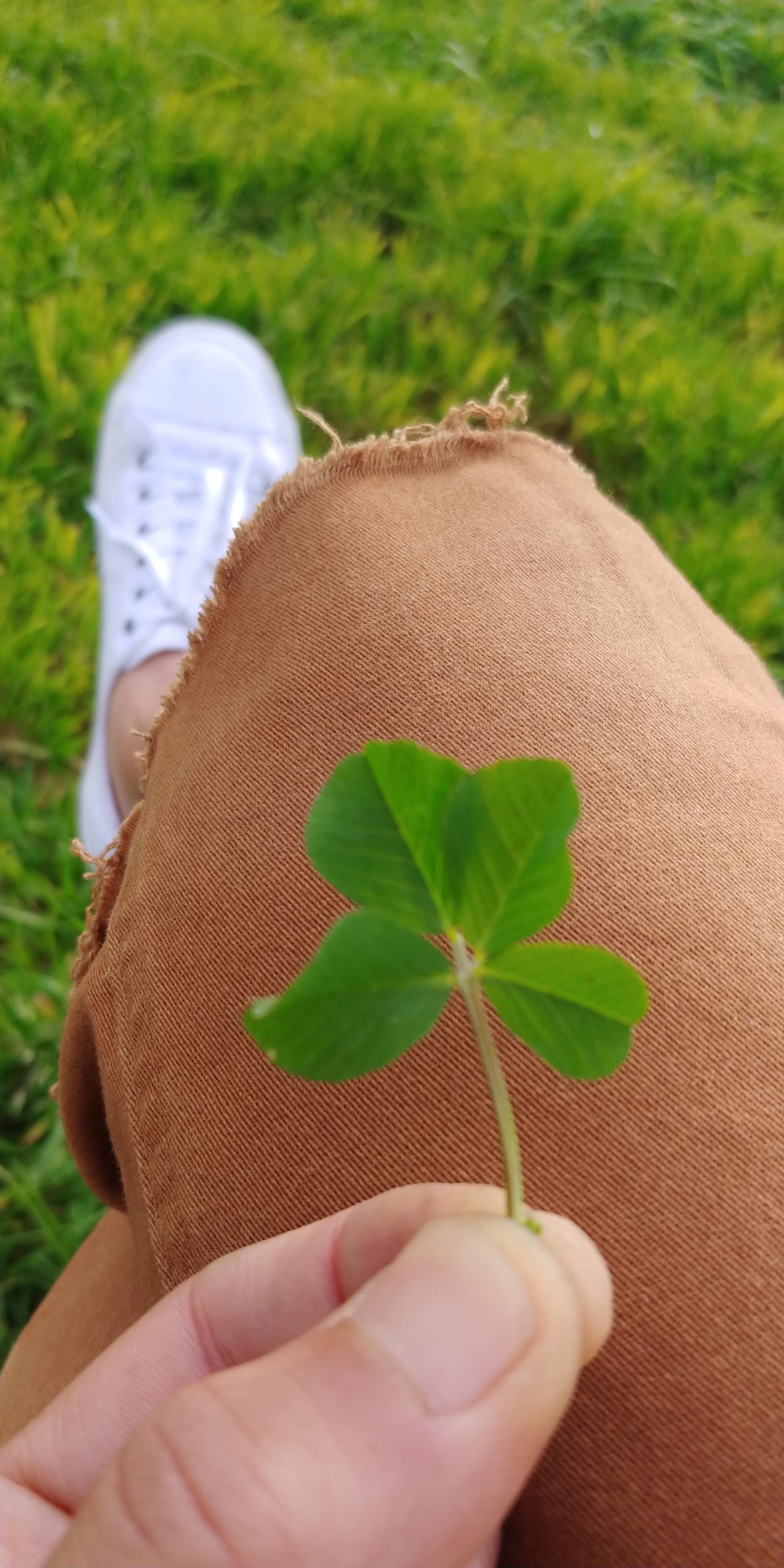 Cameron Kim – Medium