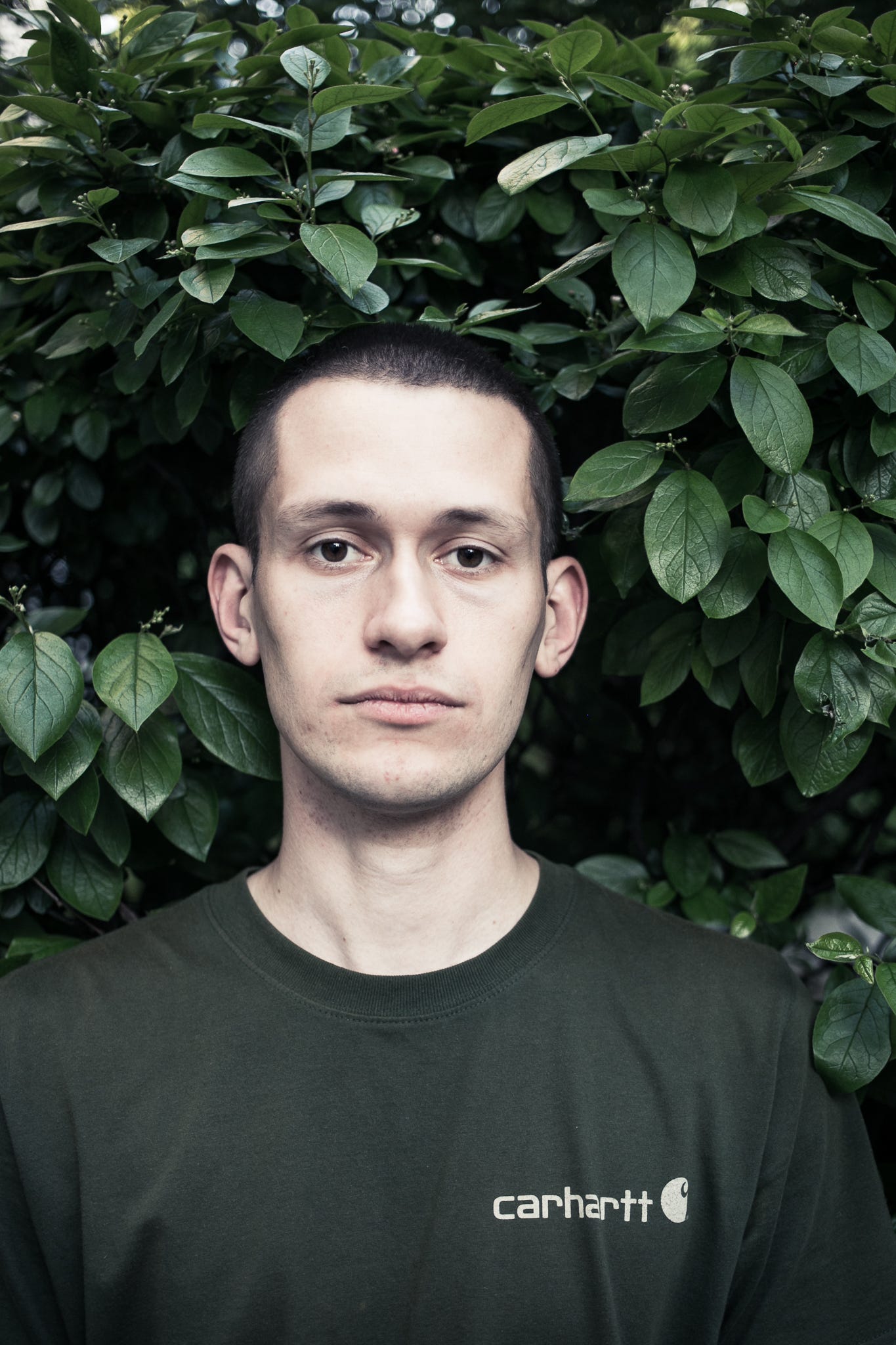 Jurek – Medium