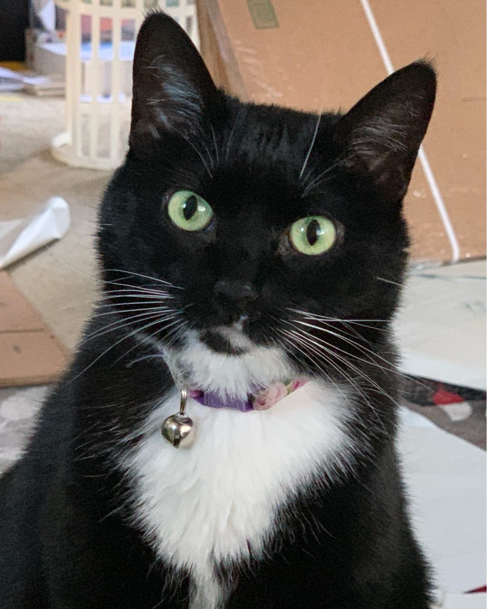 Patricia Perry on Medium curated some lists