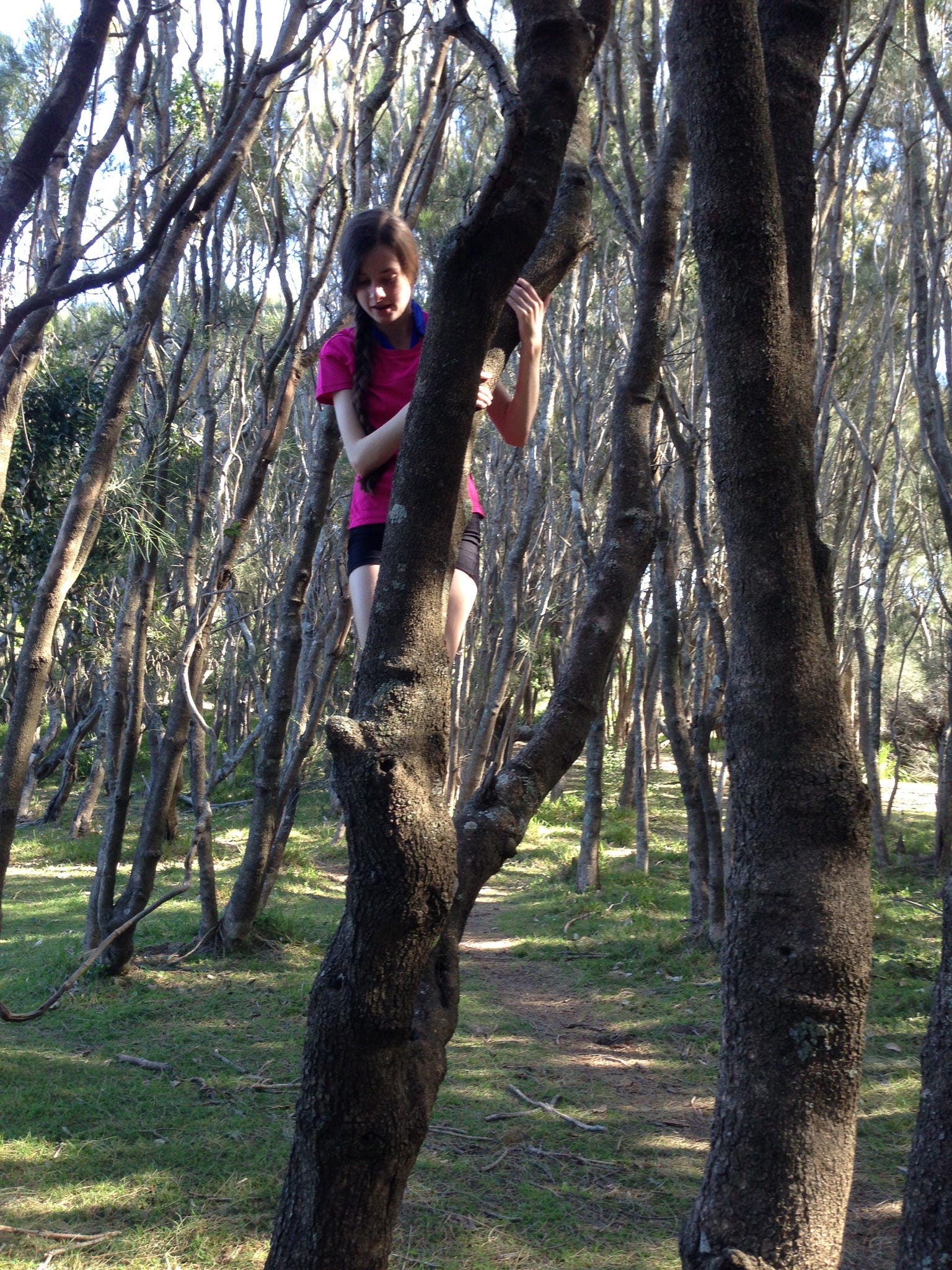 Claire Ingram – Medium