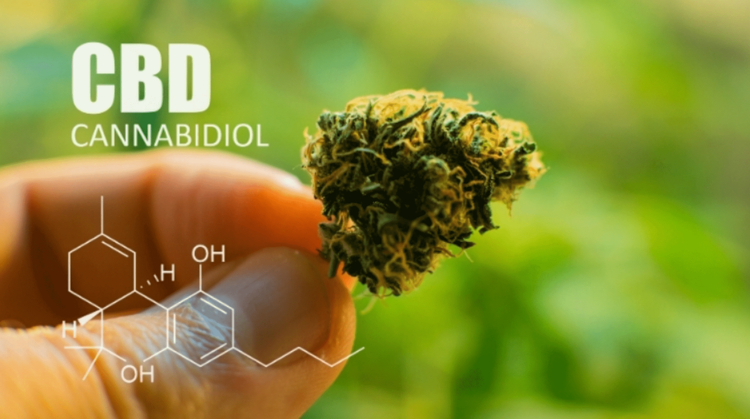 Radiant Ease CBD Gummies – Medium