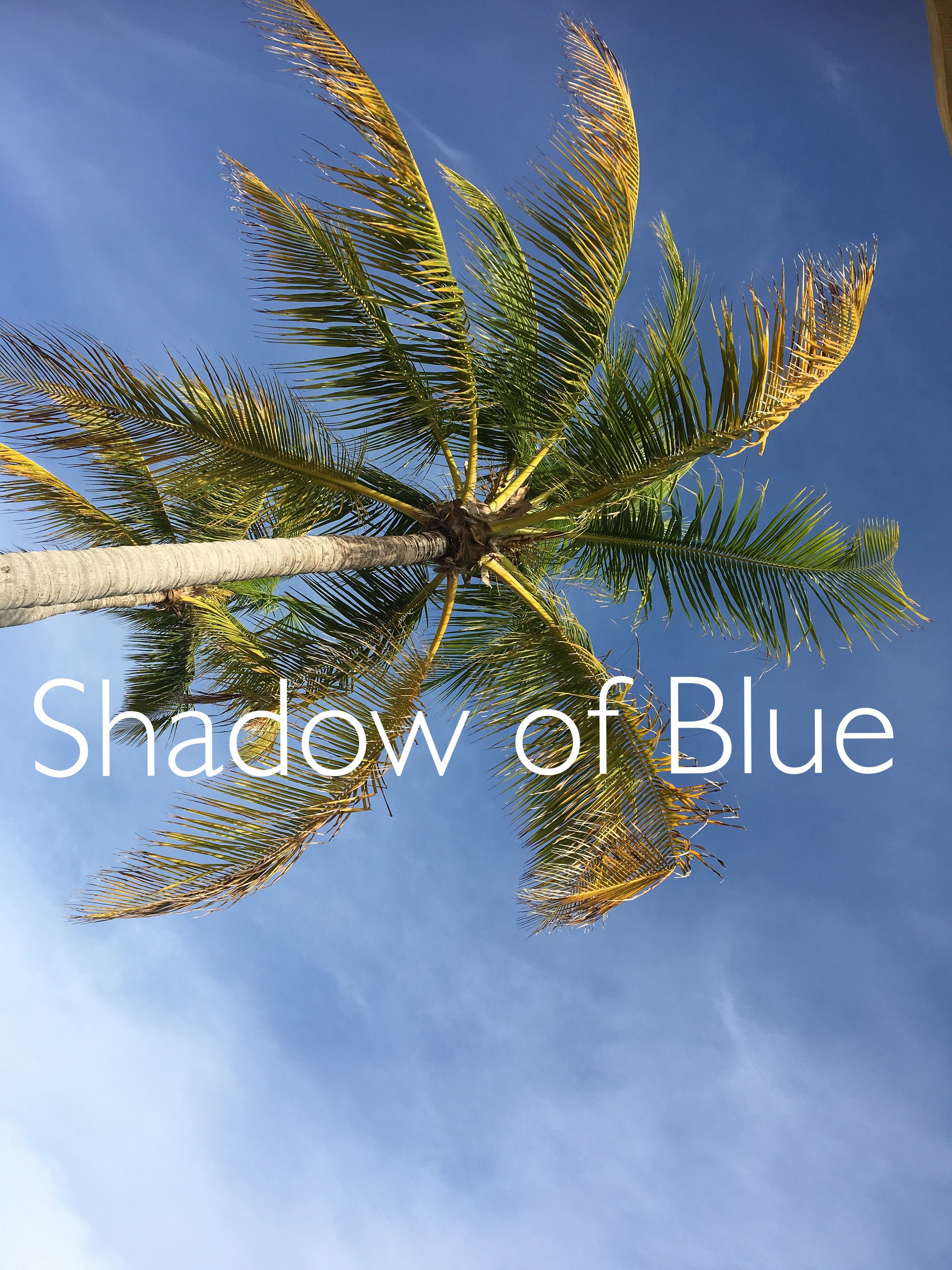 About – Shadow of Blue – Medium