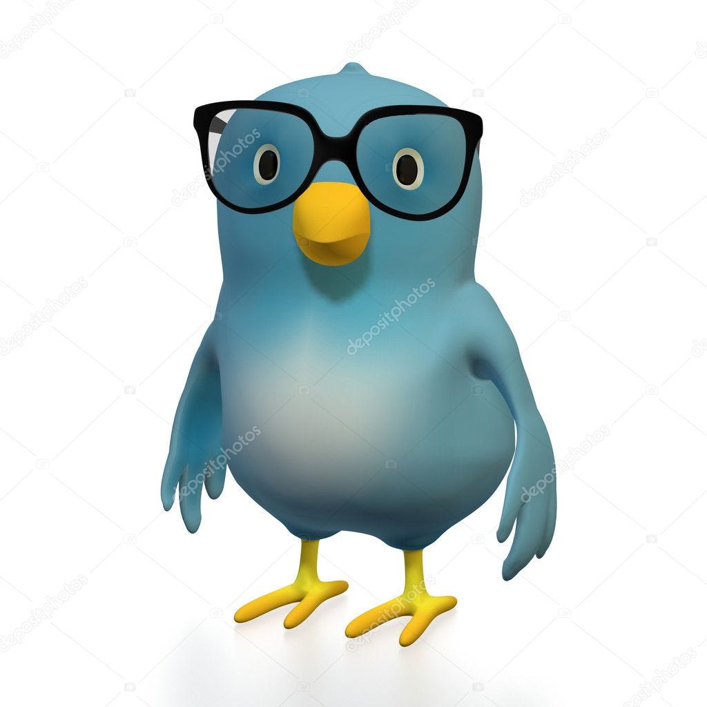 Nerdy-Bird – Medium